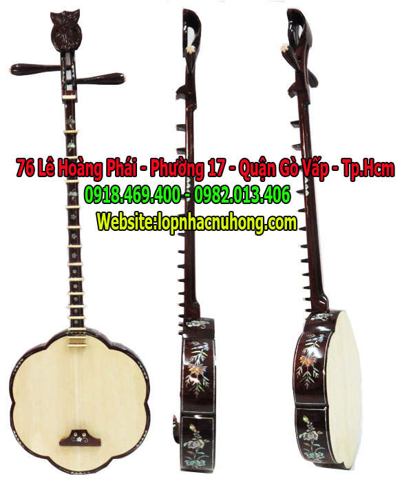 Đàn sến, Địa chỉ bán đàn sến giá rẻ nhất tphcm - 1.000đ | Nhật tảo