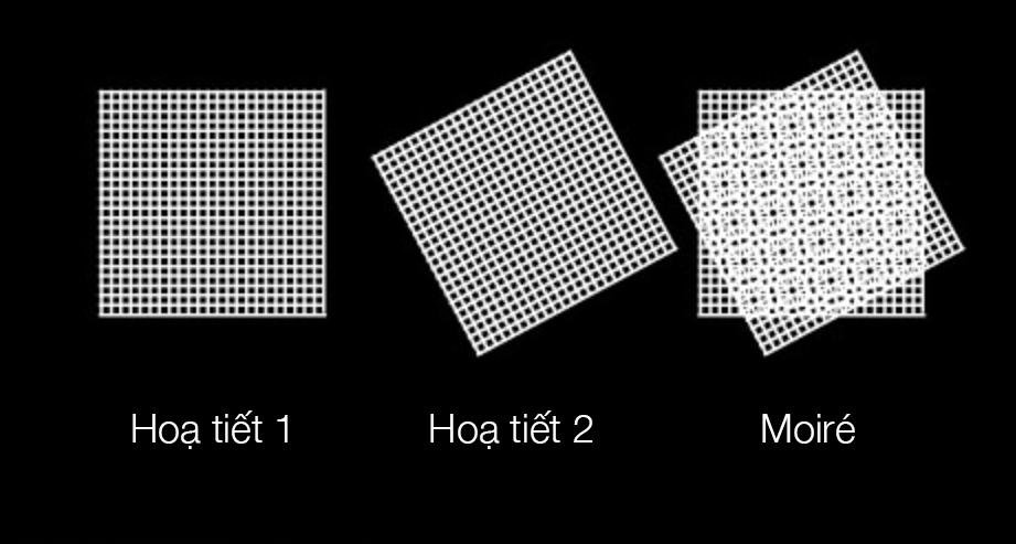 Công dụng Optical Low Pass Filter trên Sony RX1r mark II và ảnh chụp ...