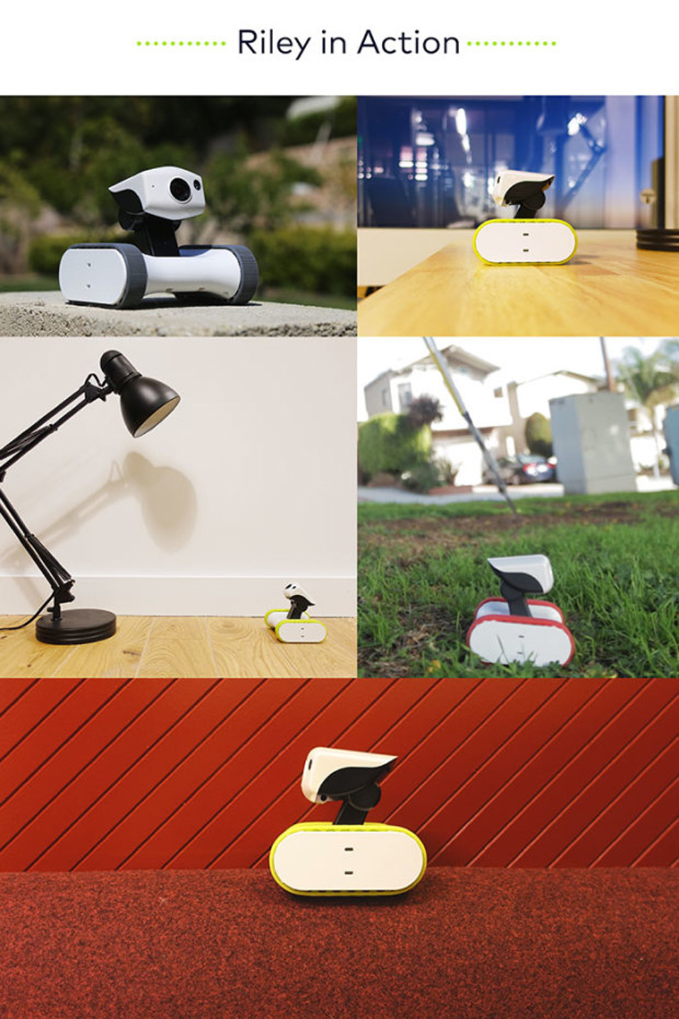 Riley - robot camera an ninh thông minh, cảm biến phát hiện chuyển động ...