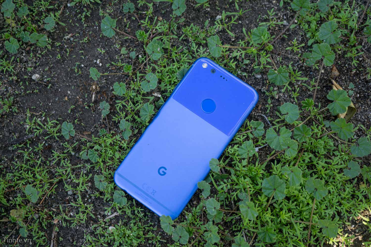 Hình ảnh Google Pixel màu xanh: đẹp và lạ | Viết bởi Didu