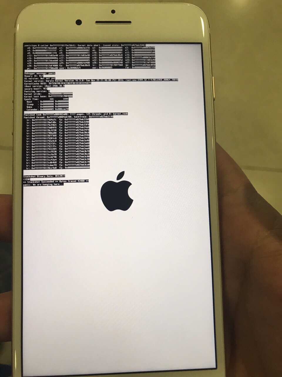 iPhone 7 plus lỗi panic: we are hanging here