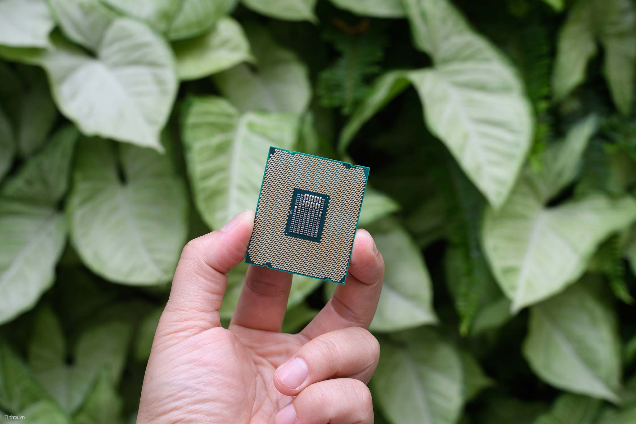 Đánh giá CPU Intel Core i9-7960X – Đa nhân mạnh, ép xung cao, giá 1.699 ...