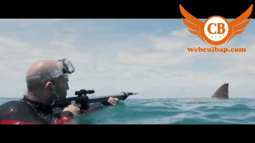 The Meg 2018 HDRip 1080p Bản Đẹp - Cá Mập Siêu Bạo Chúa | Viết bởi ...