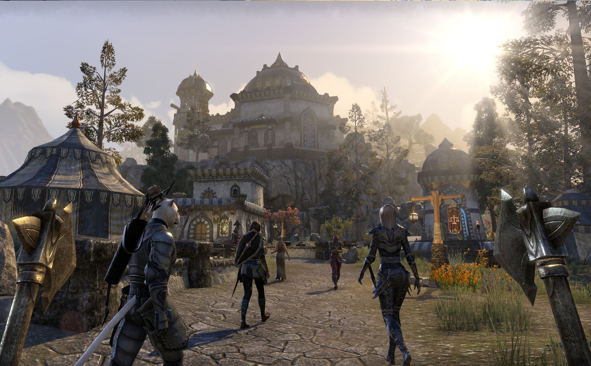 Anh em mê The Elder Scrolls 6 sẽ phải chờ đến khi PS5 ra mắt