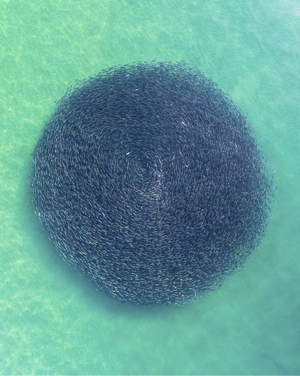 Không ảnh: 10 hình ấn tượng trong năm 2018 | Viết bởi spacezone