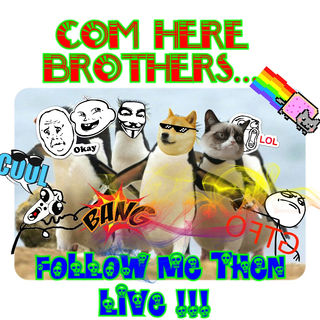 [Android] Meme Generator Chế ảnh meme, thug life thêm nhãn dán (Tặng ...