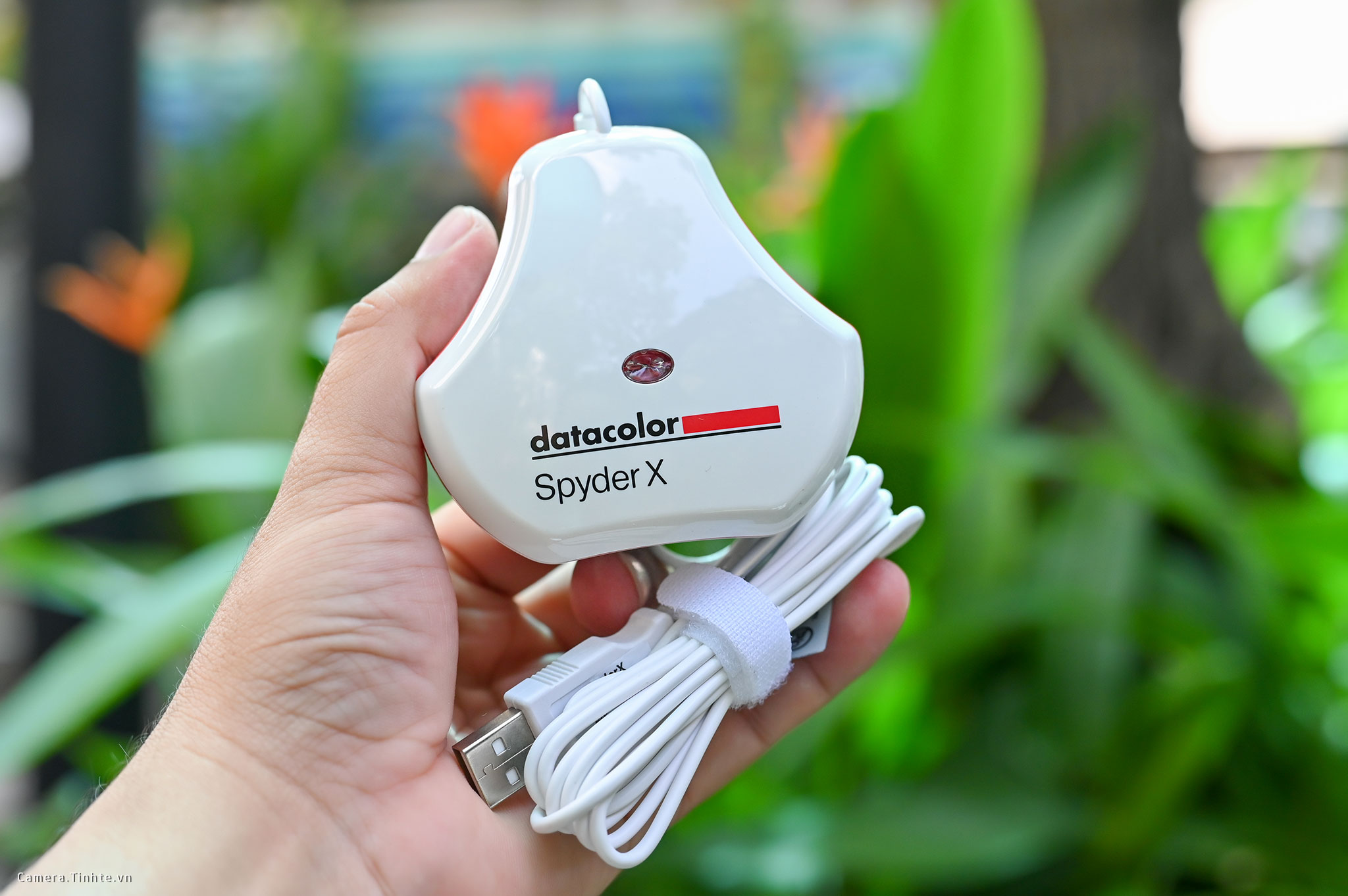Trên tay và trải nghiệm Datacolor SpyderX Elite/ Pro: giải pháp cân màu ...