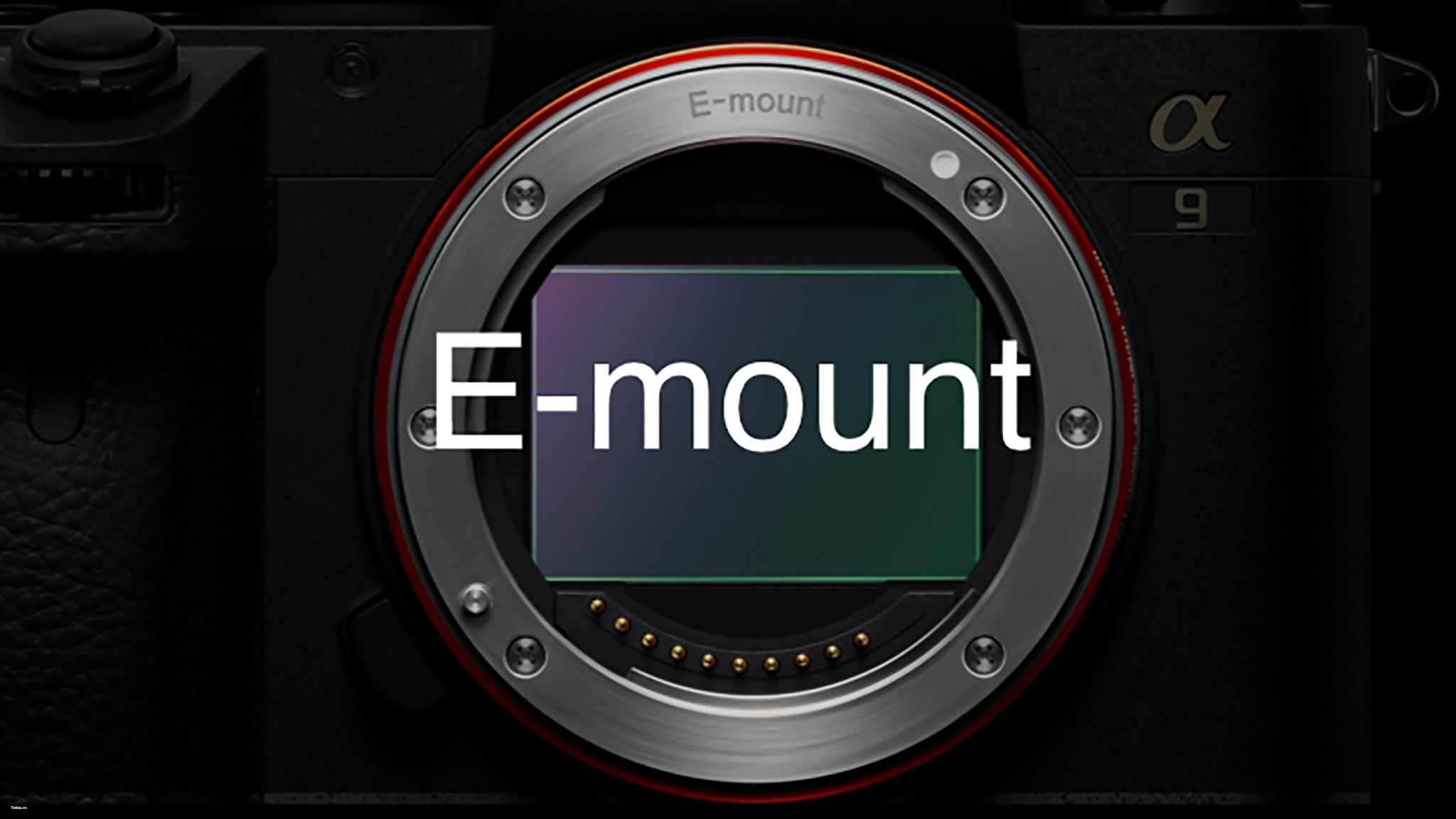 Về chiến lược One Mount của Sony: Tuyệt vời!