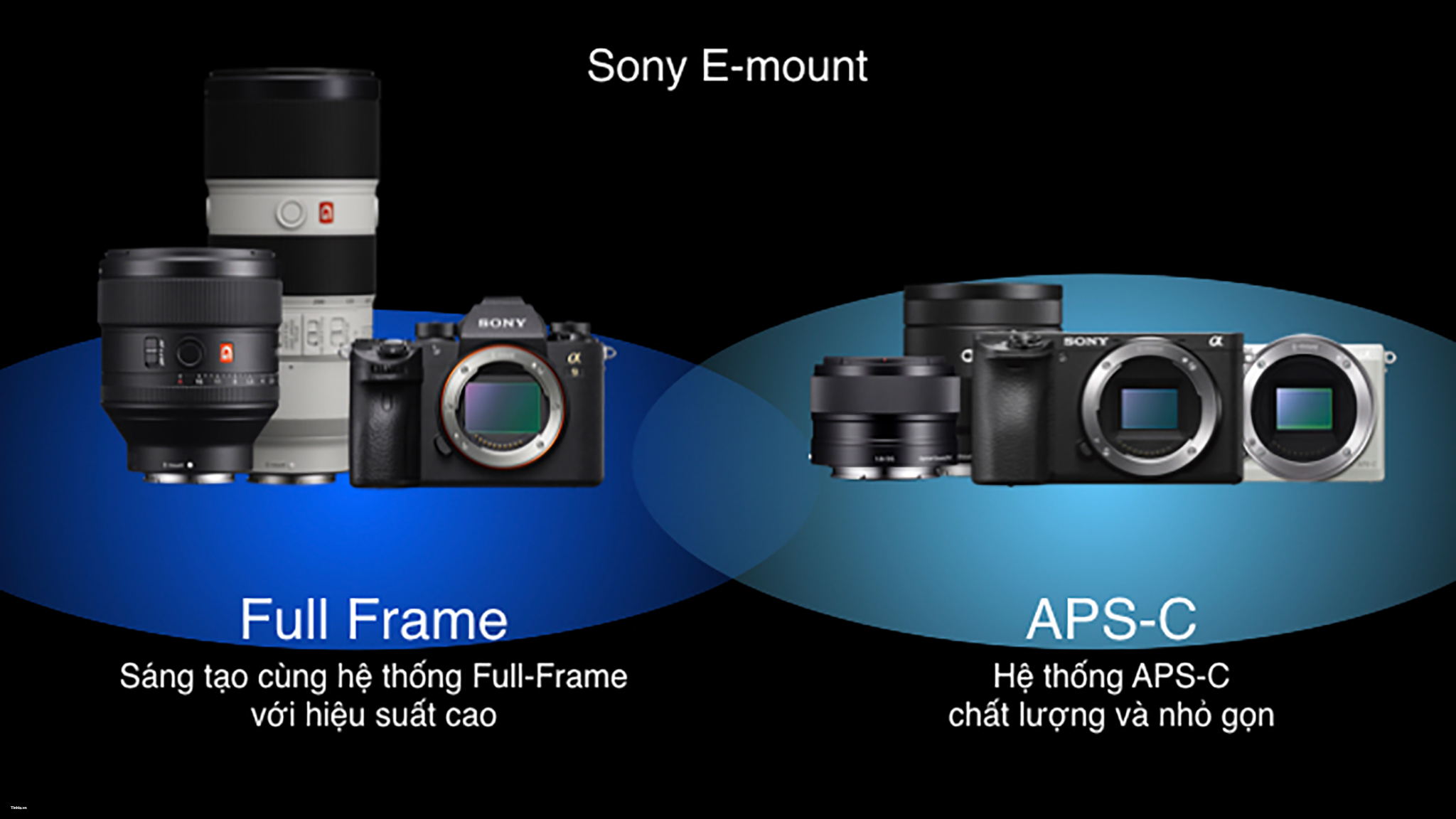 Về chiến lược One Mount của Sony: Tuyệt vời!