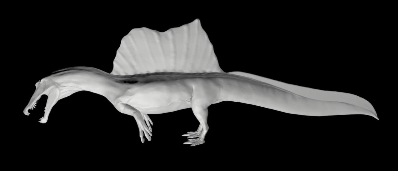 Spinosaurus - Loài khủng long đầu tiên được phát hiện sống dưới nước ...