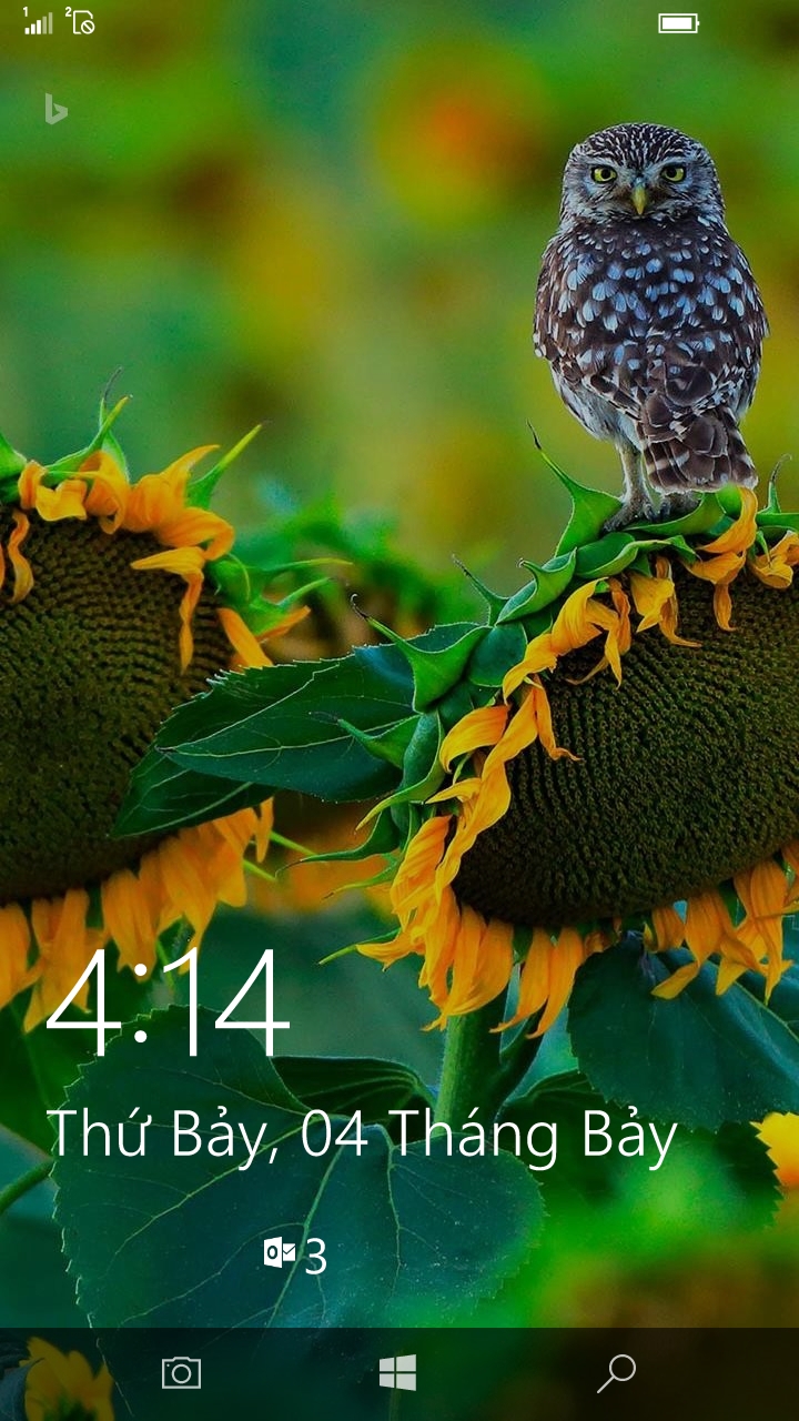 TUYỆT CÚ MÈO | Viết bởi Mig cường kích!