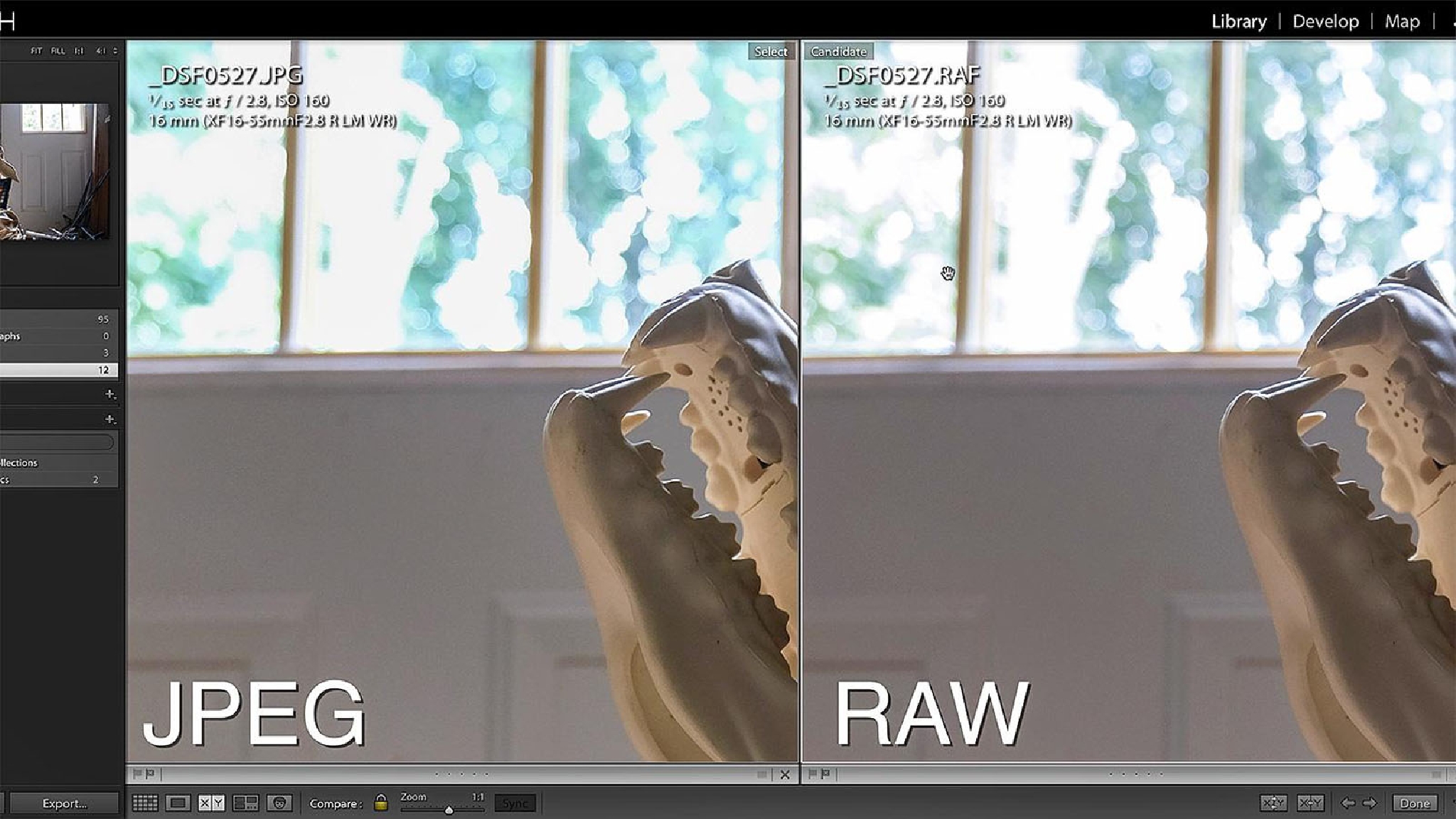 Sự khác biệt giữa file RAW và JPEG | Viết bởi blueJune