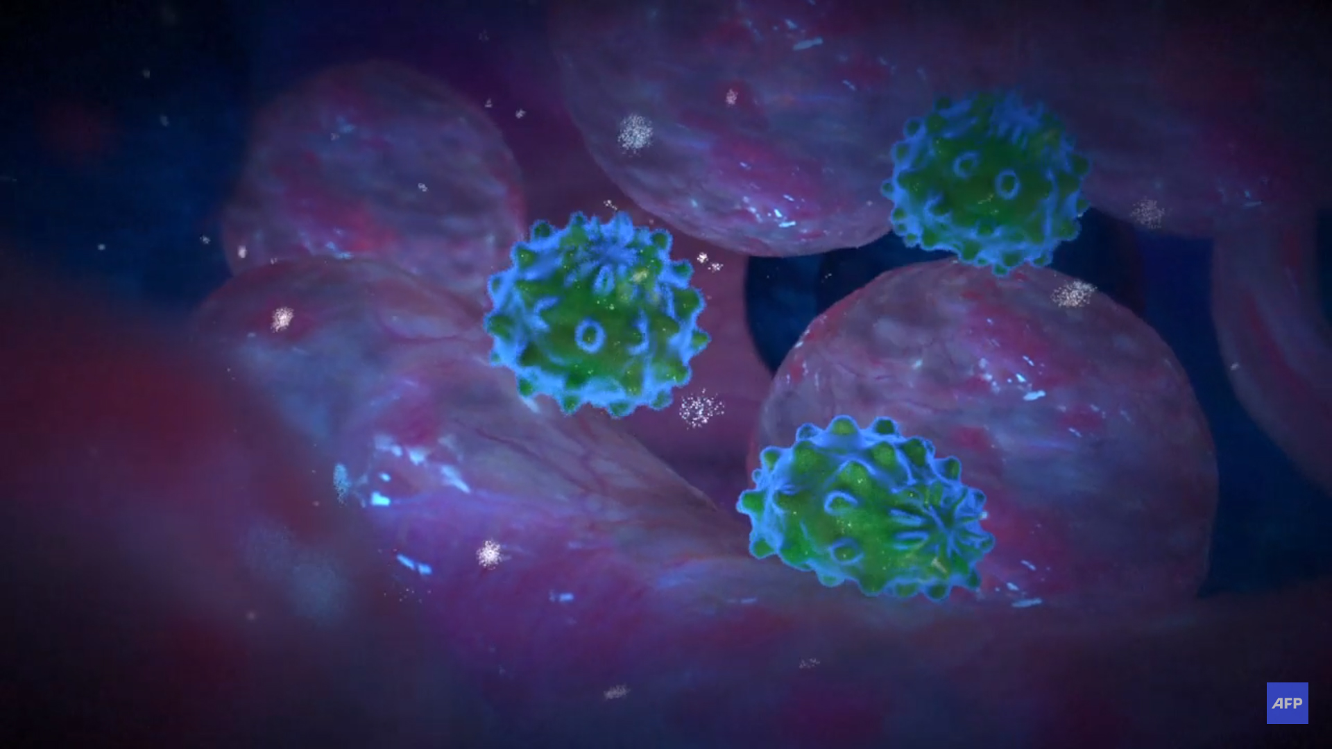 [Fact] Hệ miễn dịch và vaccine hoạt động như thế nào để giúp cơ thể ...