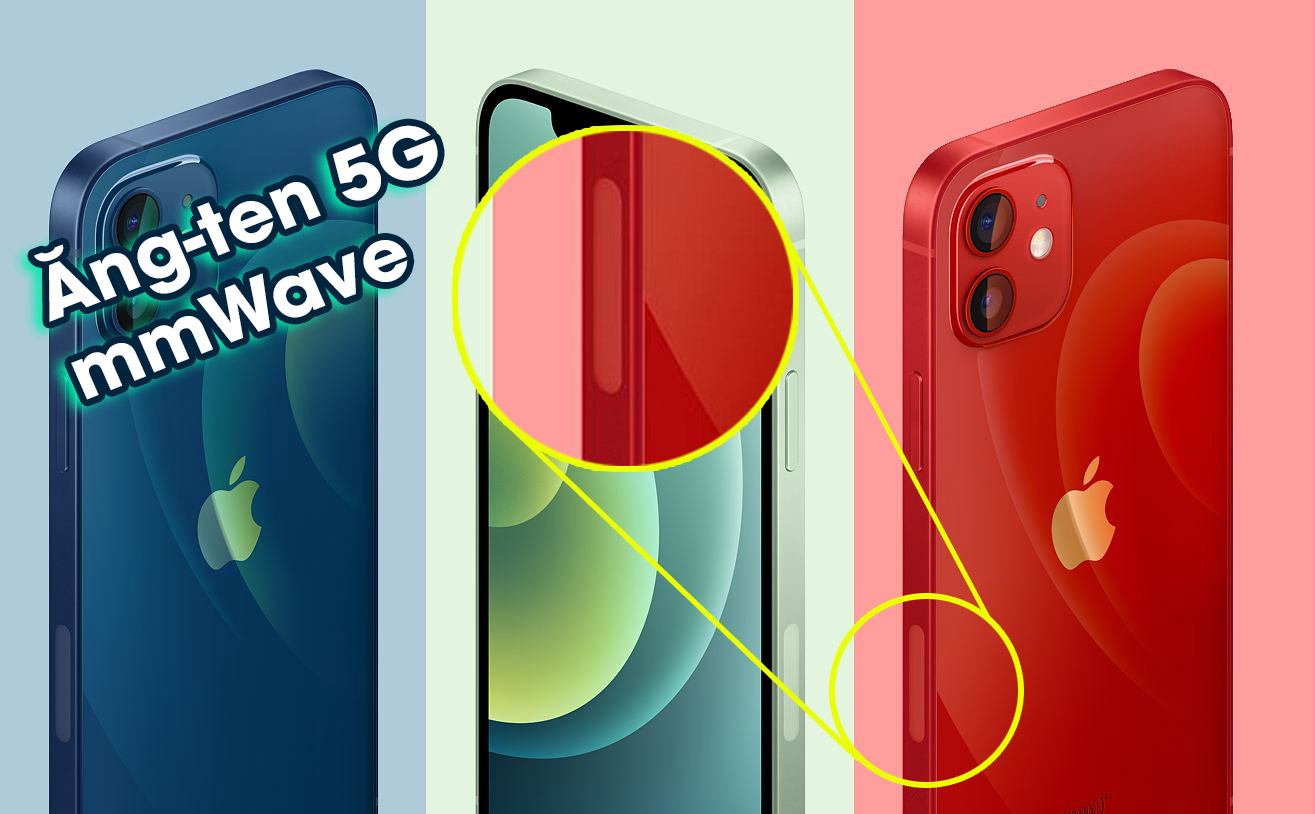 Cái miếng nhỏ này là ăng-ten 5G của iPhone 12 bản Mỹ