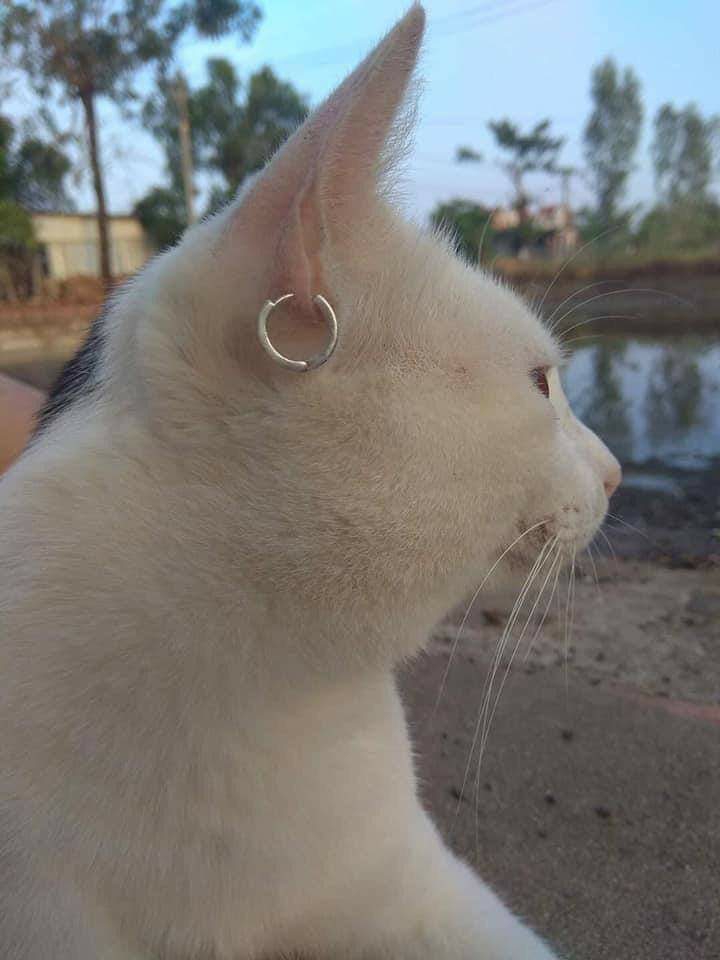 Hhhh | Viết bởi TD.Phuong