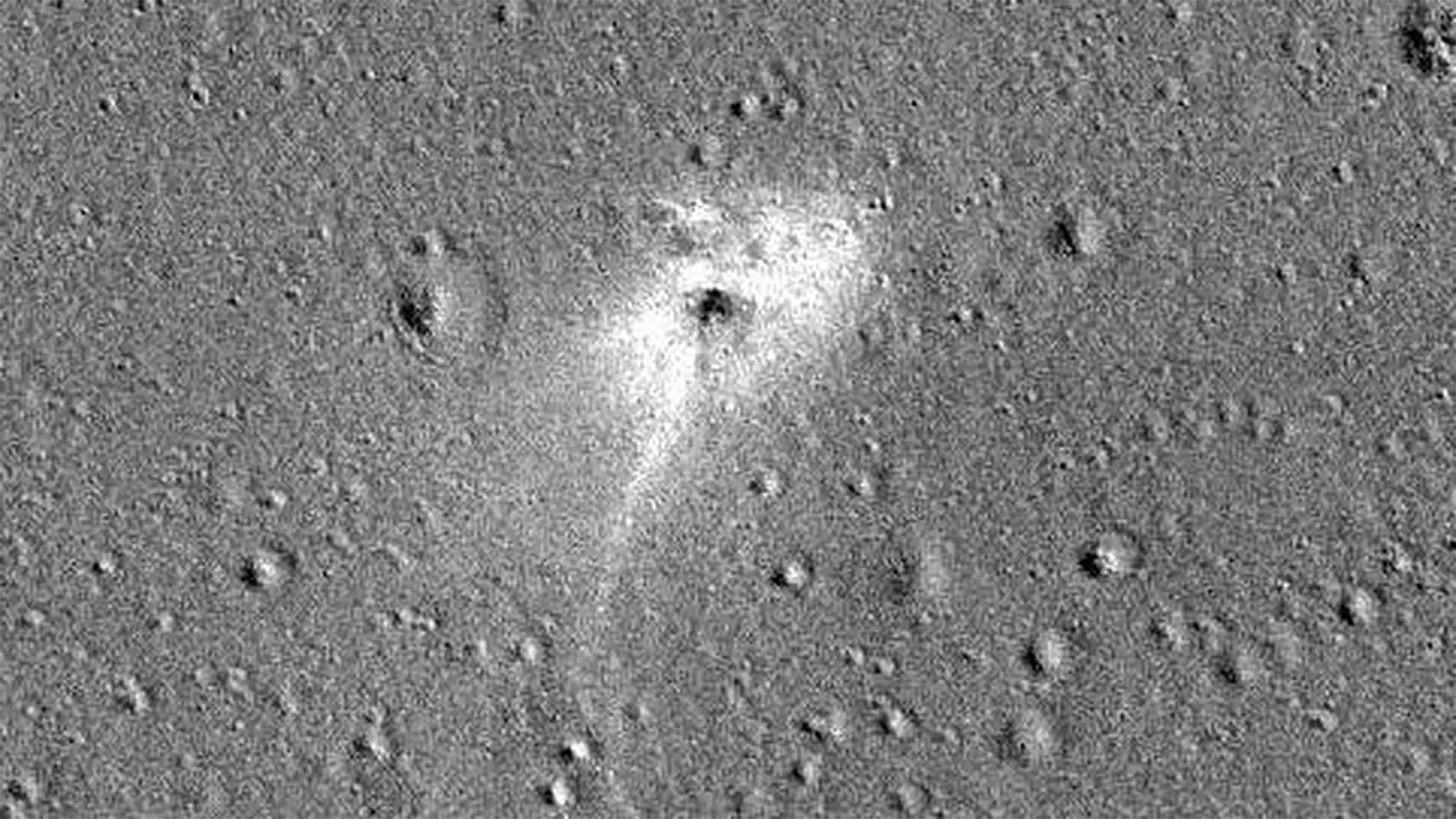 Hàng ngàn con gấu nước có thể đã "sổng chuồng" trên Mặt Trăng!